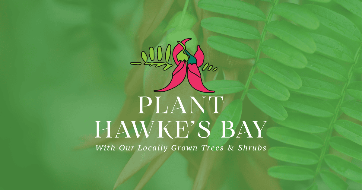 Who We Work With At Plant Hawke's Bay